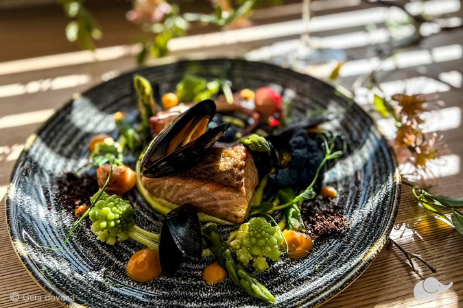 3 patiekalų degustacija „Namų restorane“ | Gera dovana